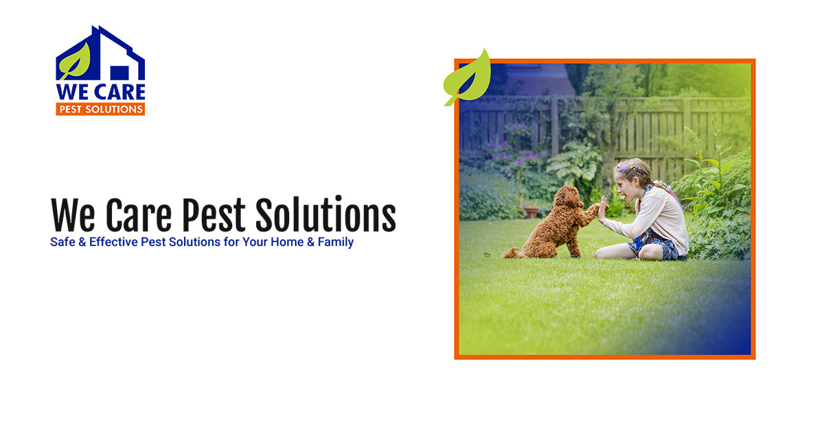 Cockroach Control in Napa, CA | We Care Pest Solutions